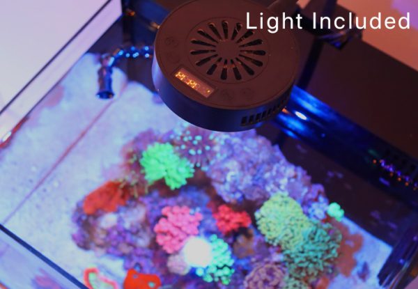 Studio Saltwater Aquarium Kit - Reef Casa