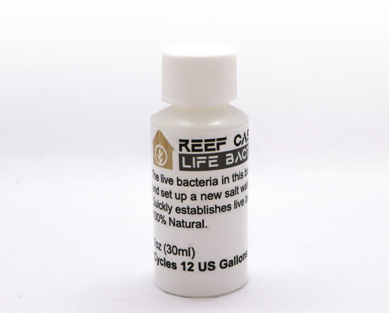 Pico Reef Tank Mark II - Reef Casa