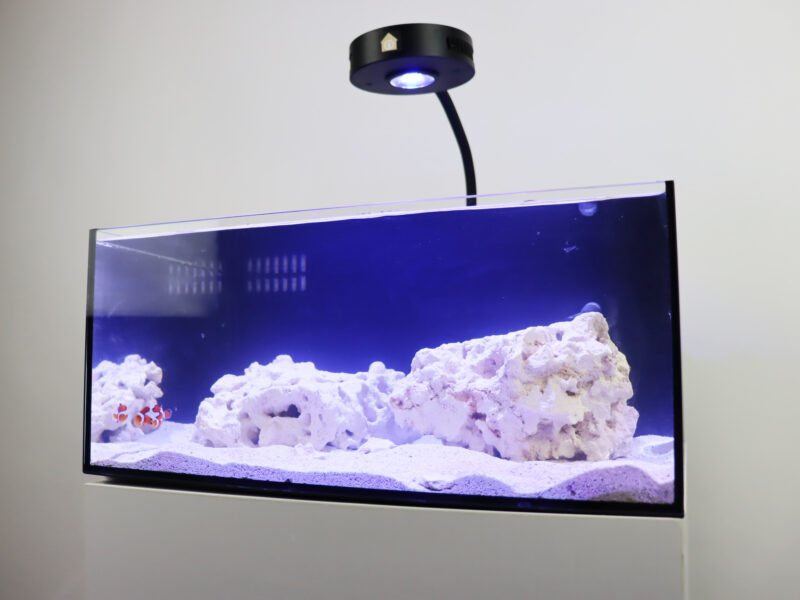 Saltwater Aquarium Kits - Reef Casa
