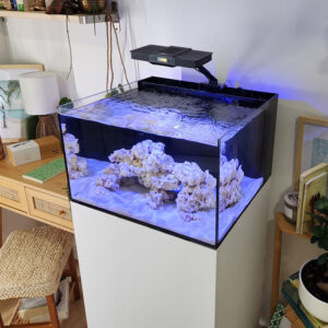 Aquarium Stands - Reef Casa