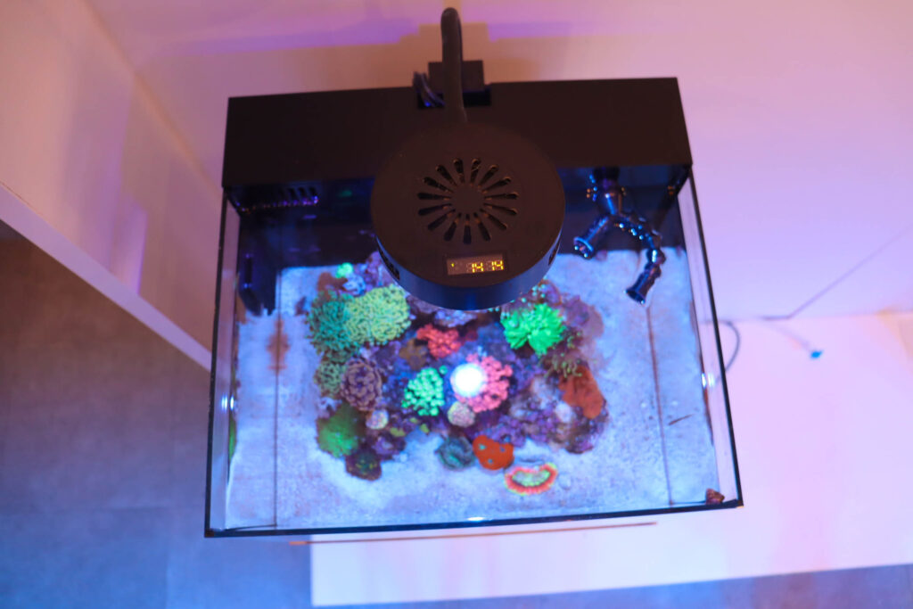 Mini Reef Tanks - Reef Casa
