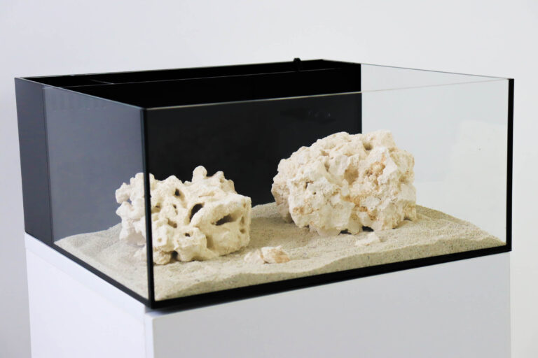 Mini Reef Tank Kits - Reef Casa