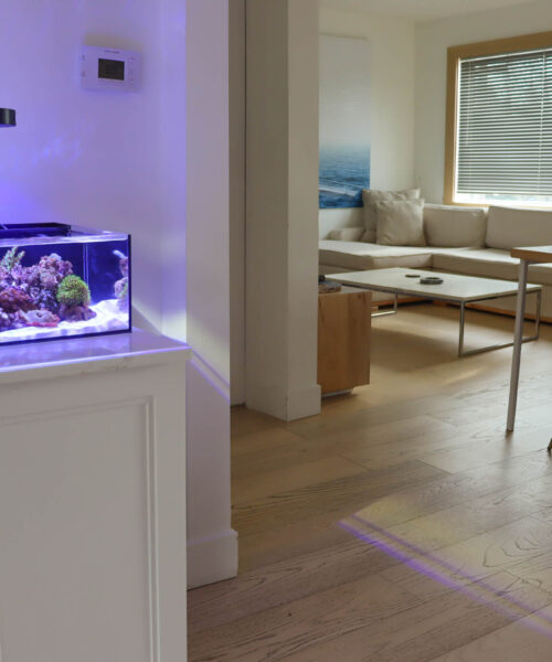 Pico Reef Tank Kit - Reef Casa