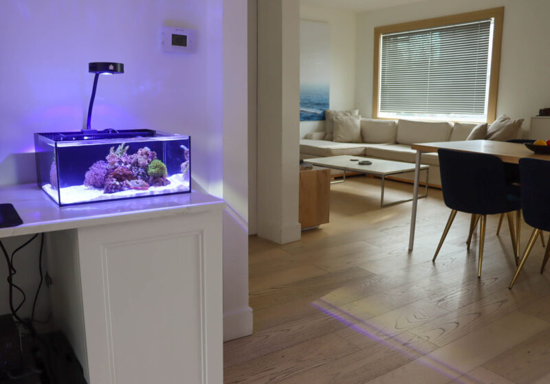 Pico Reef Tank Kit - Reef Casa