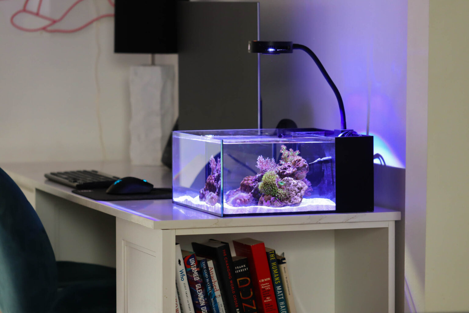 Pico Reef Tank - Reef Casa