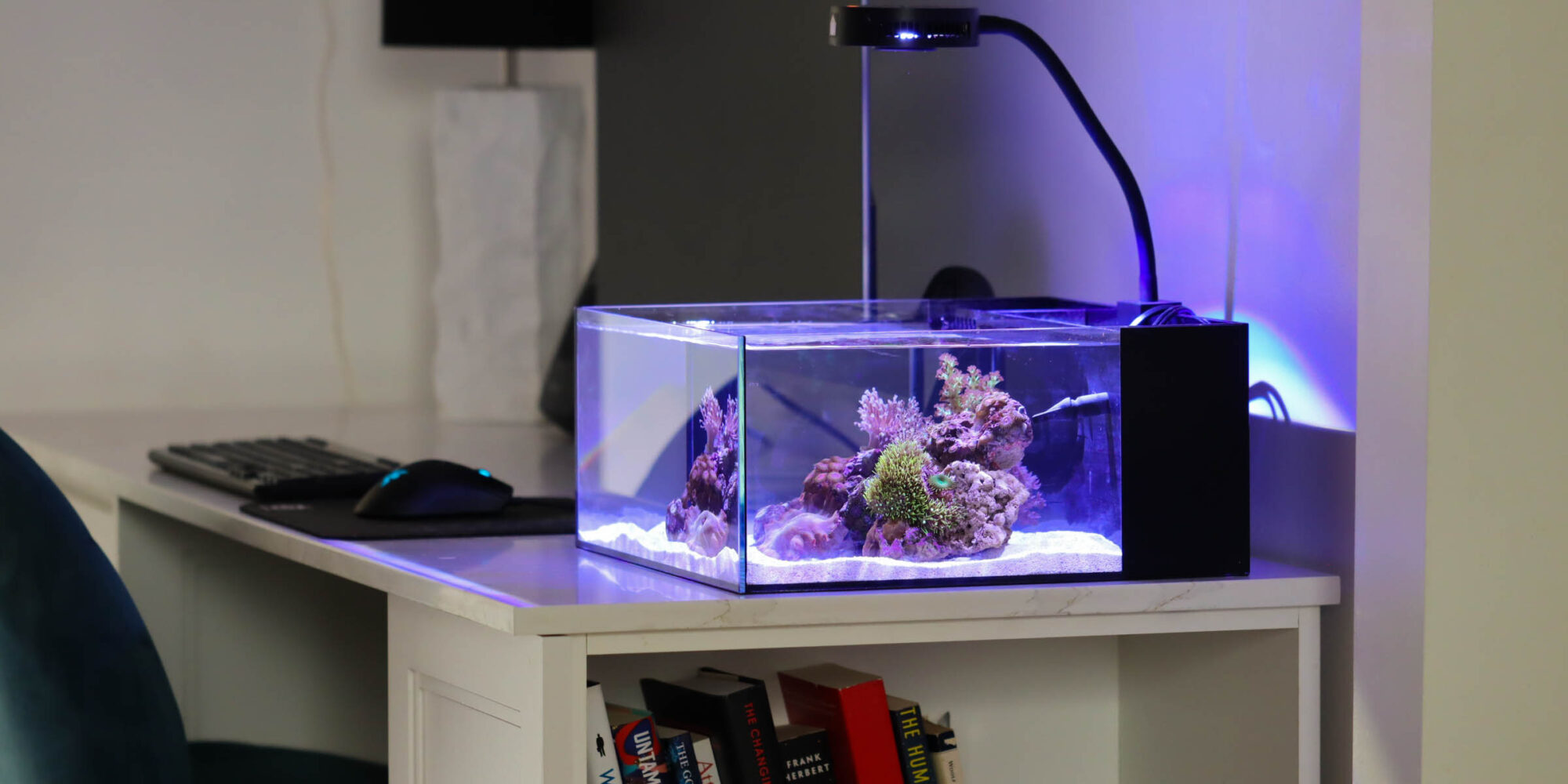 Nano Saltwater Tank - Reef Casa