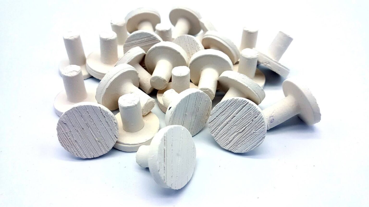 The Mini Frag Tank - Reef Casa