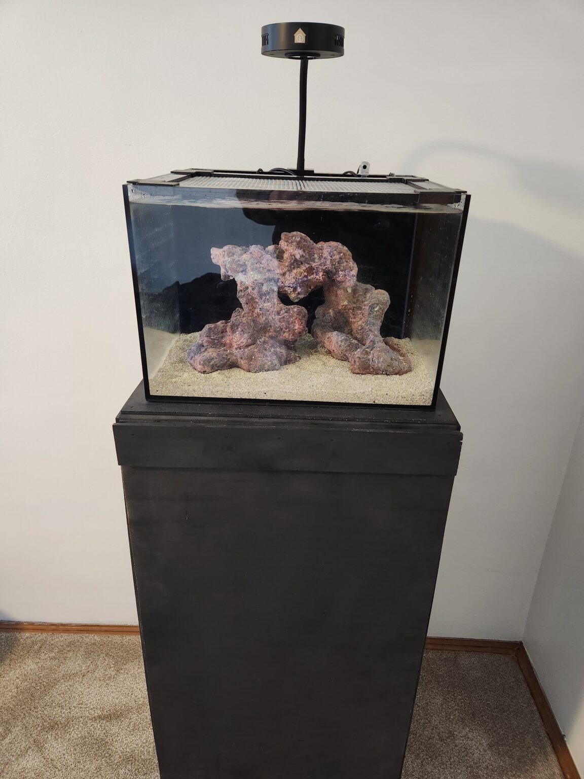 Reef Casa Studio 12 Gallon New Set Up ! - Reef Casa