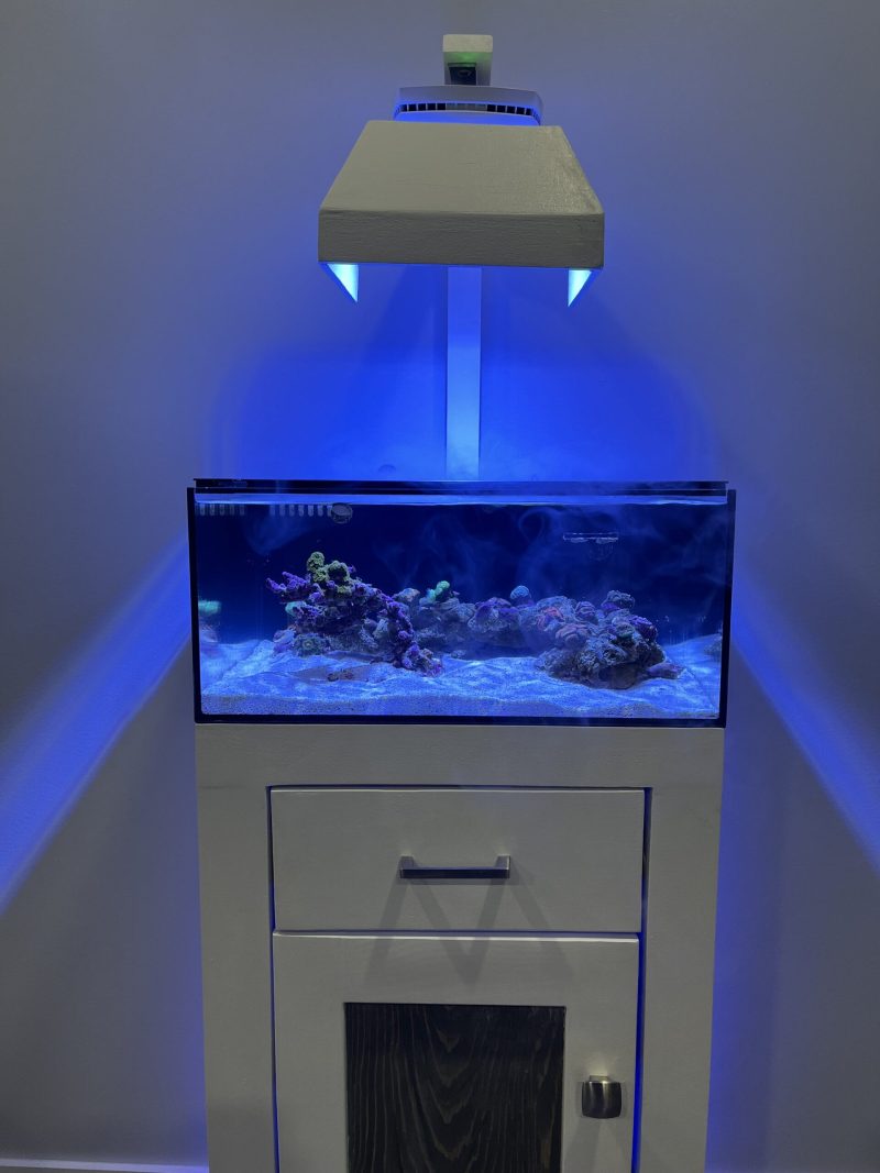 Dustin's Flat 6 Pico Reef Aquarium - Reef Casa