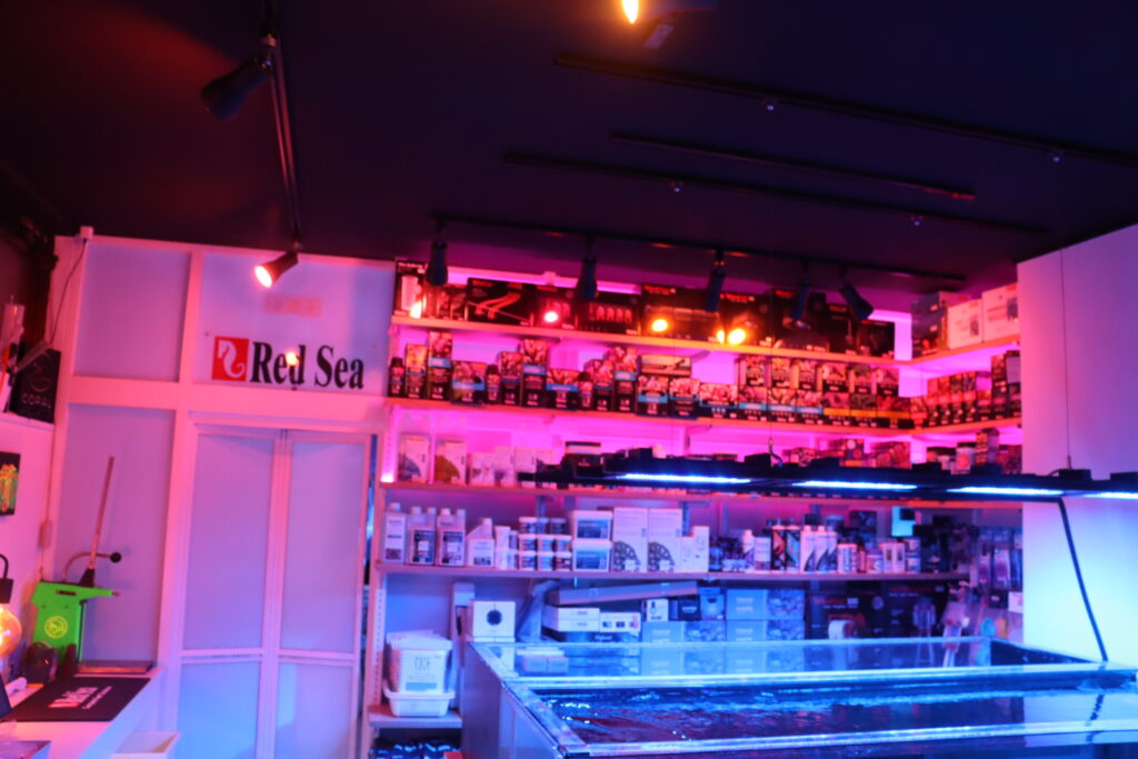 Japan's Best Saltwater Coral & Fish Store - Reef Casa