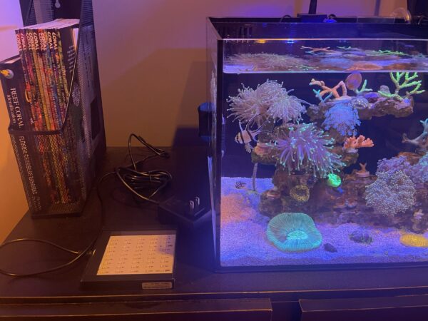 Reef Casa Nova Refugium Light Unboxing & Review - Reef Casa