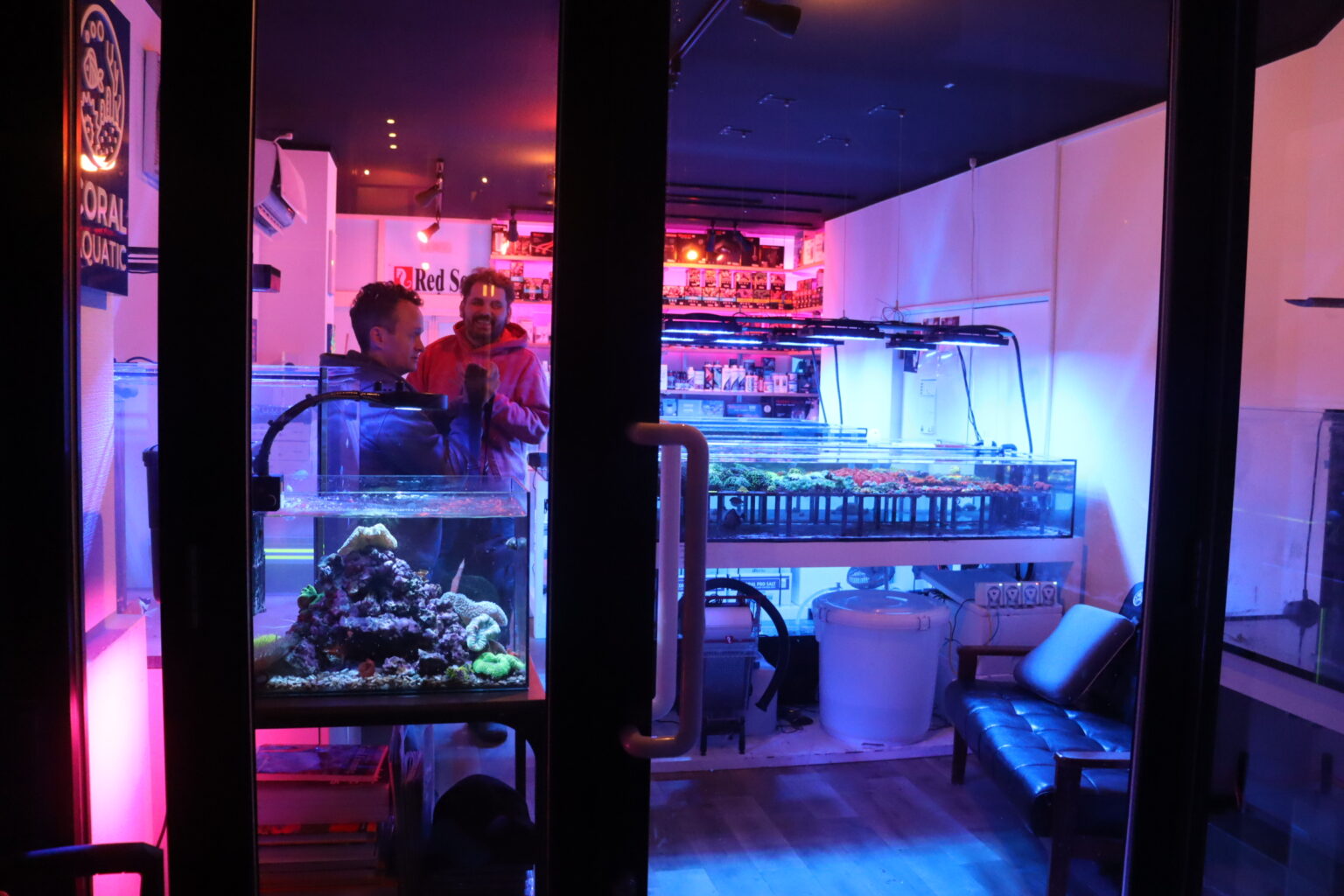 Japan's Best Saltwater Coral & Fish Store - Reef Casa