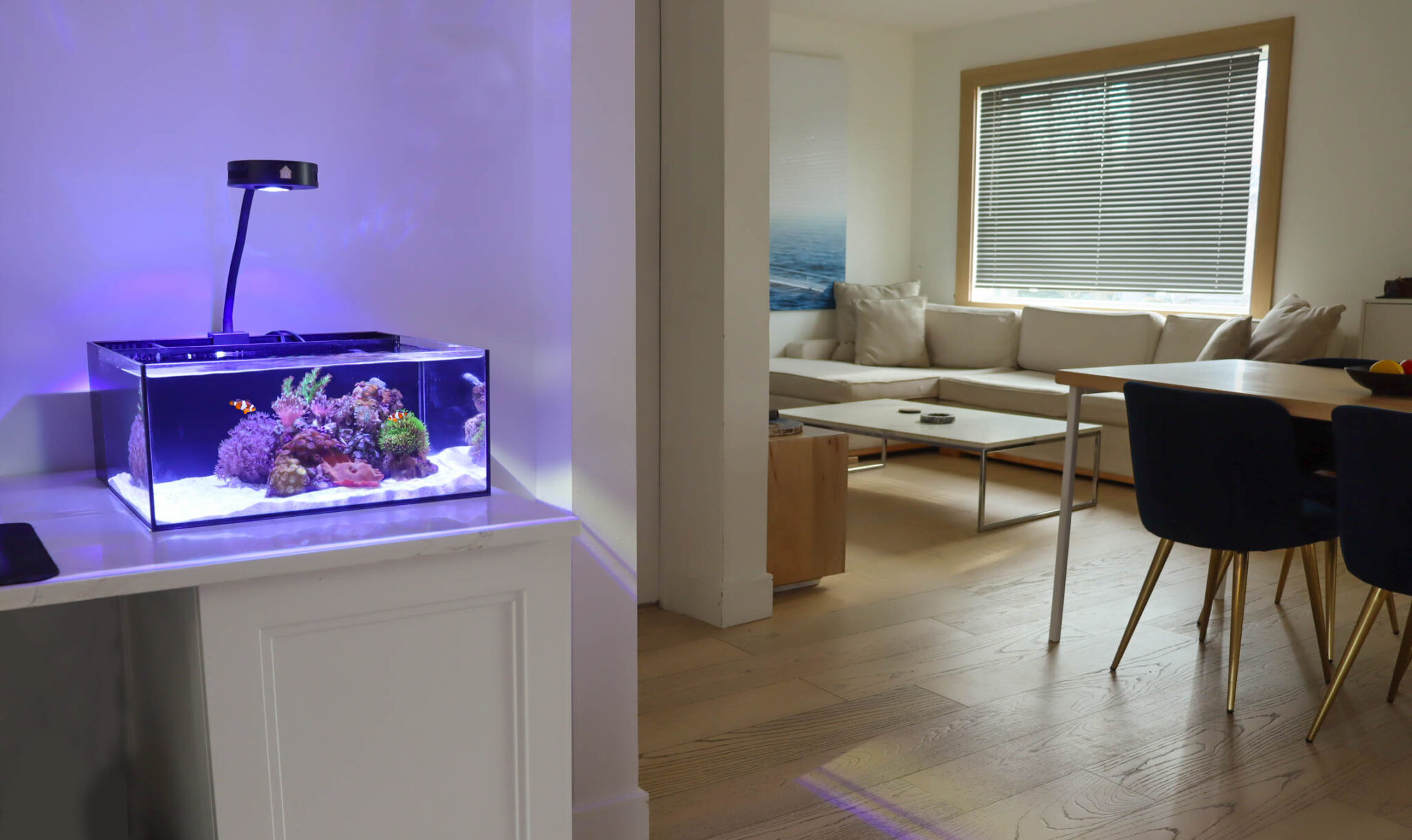 Saltwater Aquarium Kits - Reef Casa