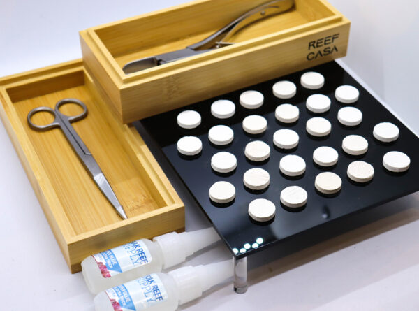 Frag Tank - Reef Casa