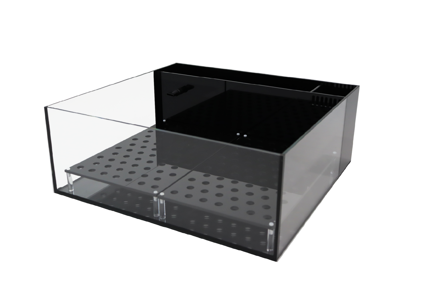 Large Frag Tank - Reef Casa