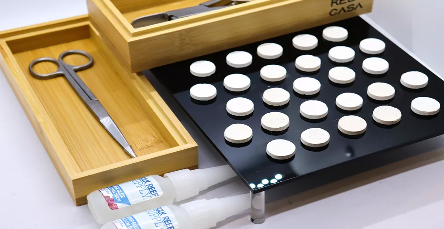 The Mini Frag Tank - Reef Casa