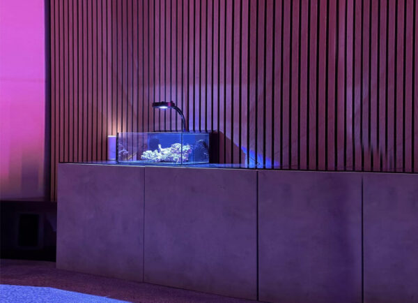 Pico Reef Tank - Reef Casa