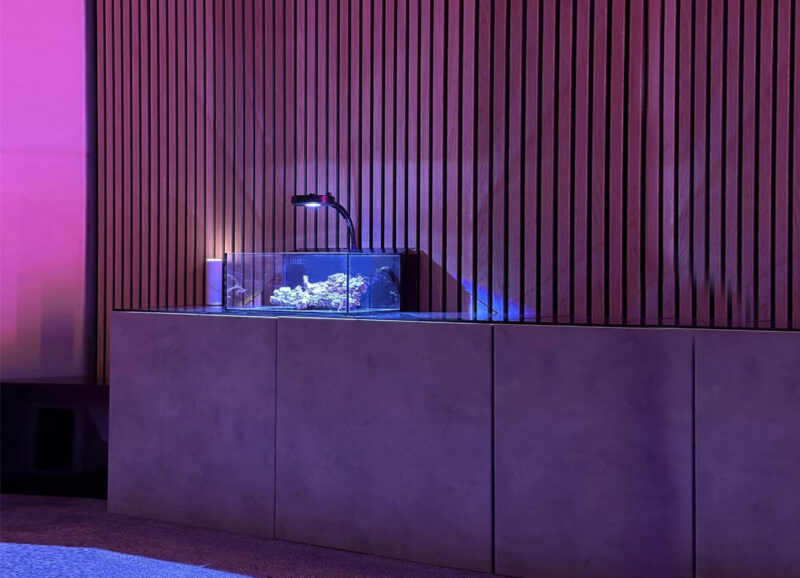 Pico Reef Tank - Reef Casa