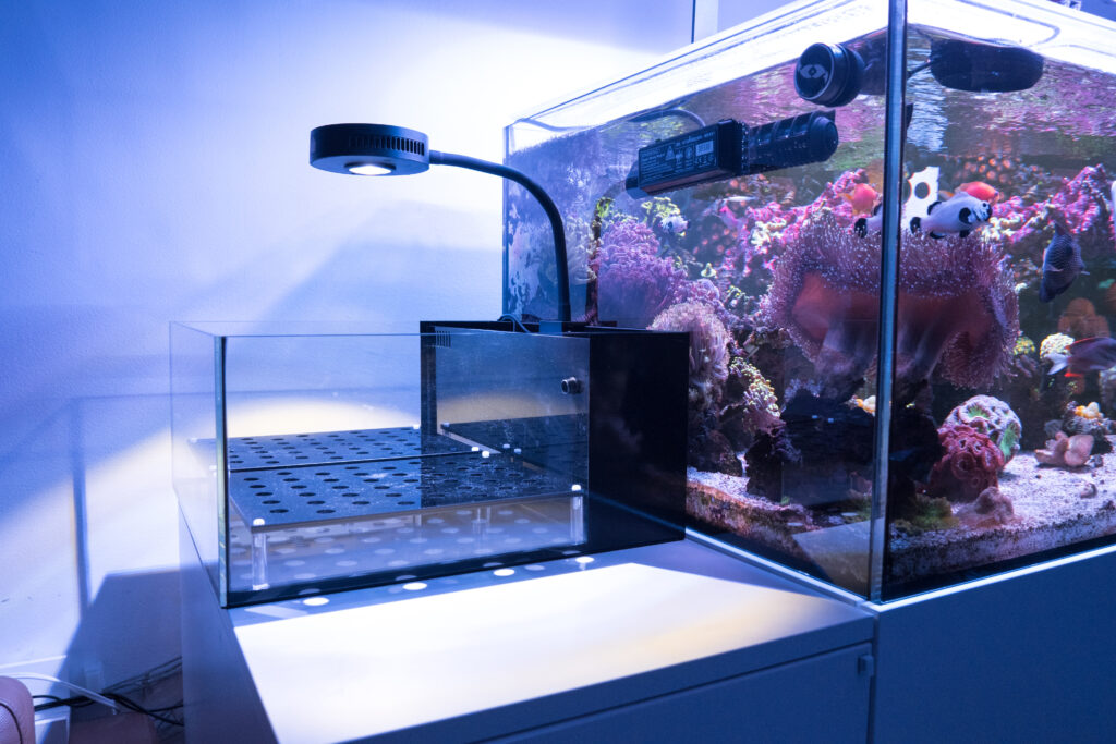 The best frag tank - Reef Casa