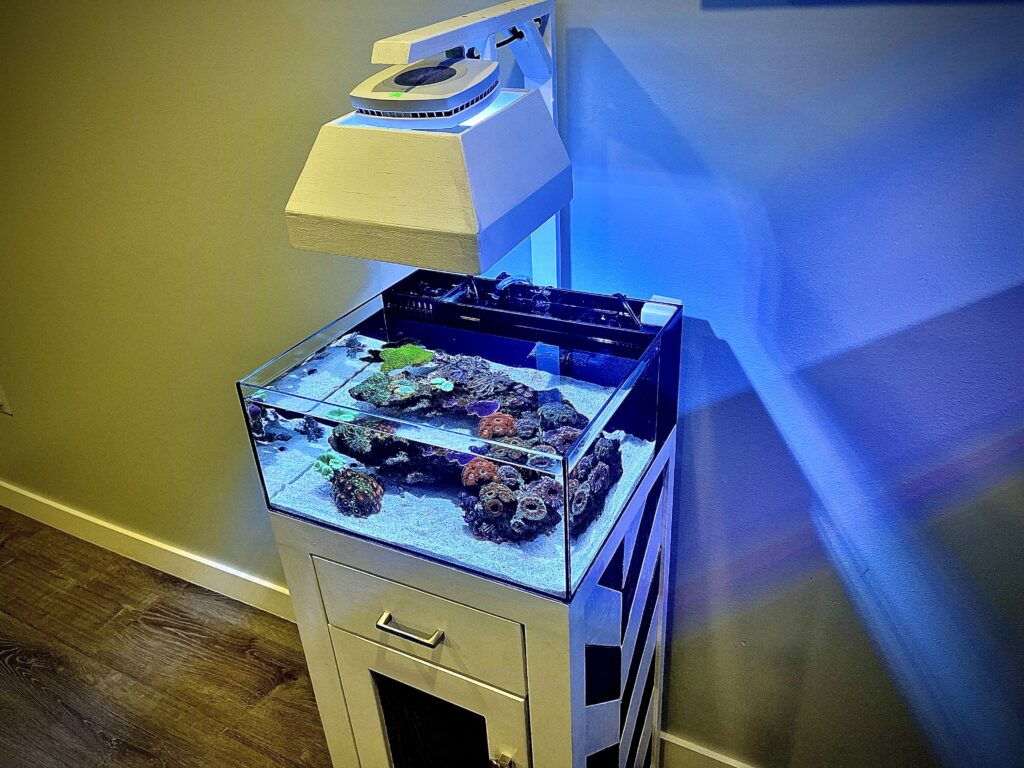 Dustin's Flat 6 Pico Reef Tank Update - Reef Casa