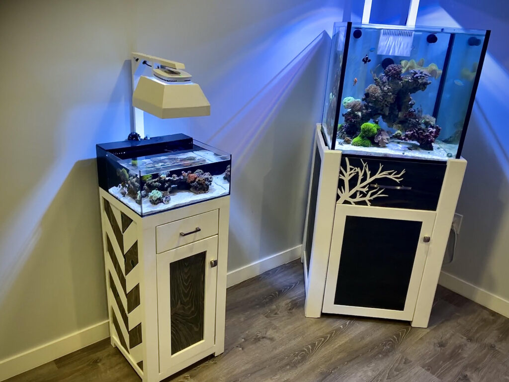 Dustin's Flat 6 Pico Reef Tank Update - Reef Casa