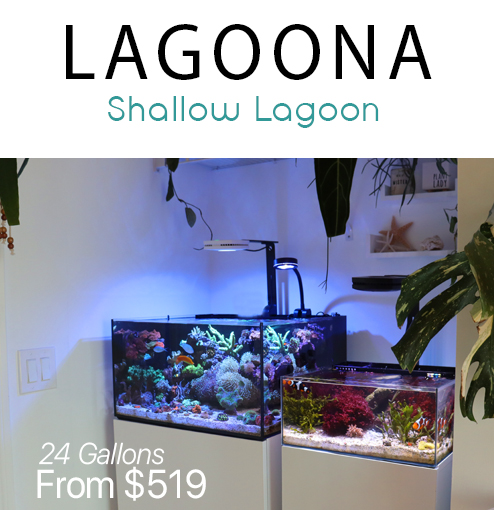 Saltwater Aquarium Kits - Reef Casa