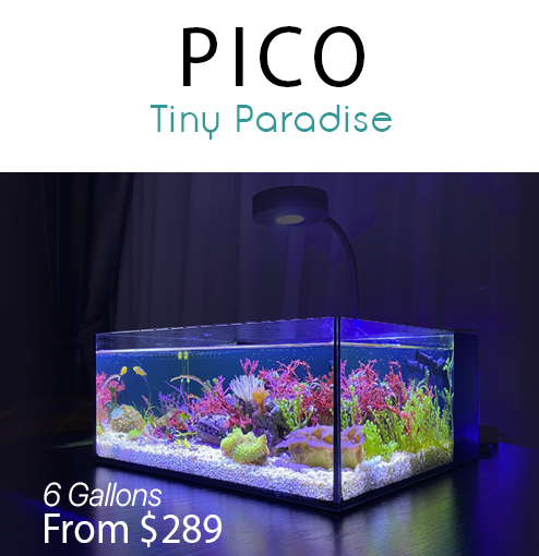 Saltwater Aquarium Kits - Reef Casa