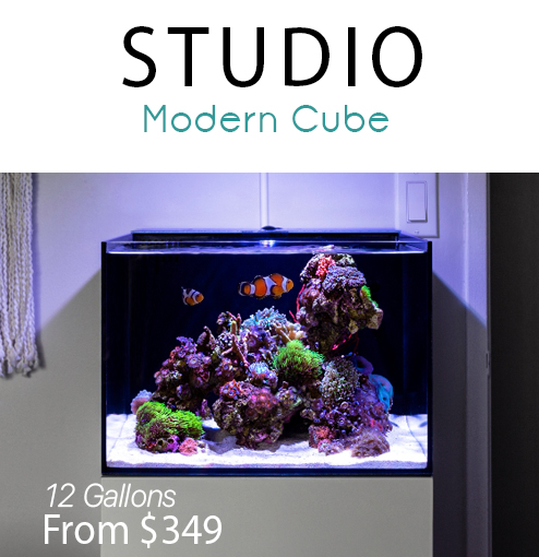 Saltwater Aquarium Kits - Reef Casa