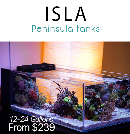 Saltwater Aquarium Kits - Reef Casa