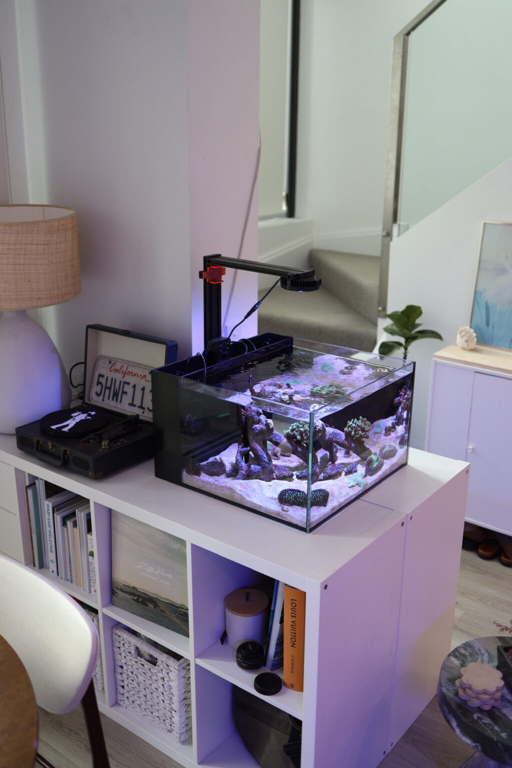 Nano Reef Tank Inspiration - Reef Casa