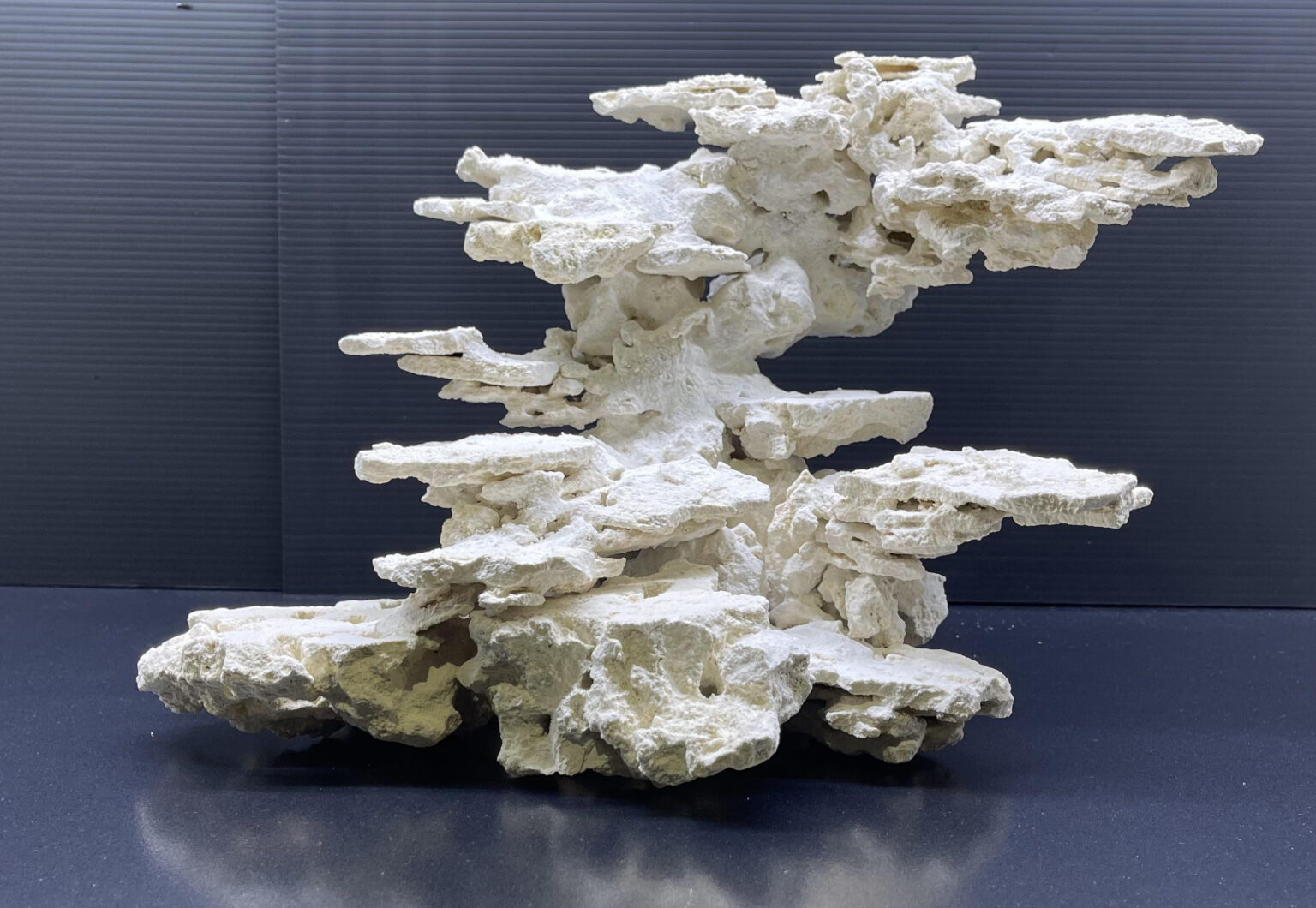 Pico Reef Tank Complete Kit - Reef Casa